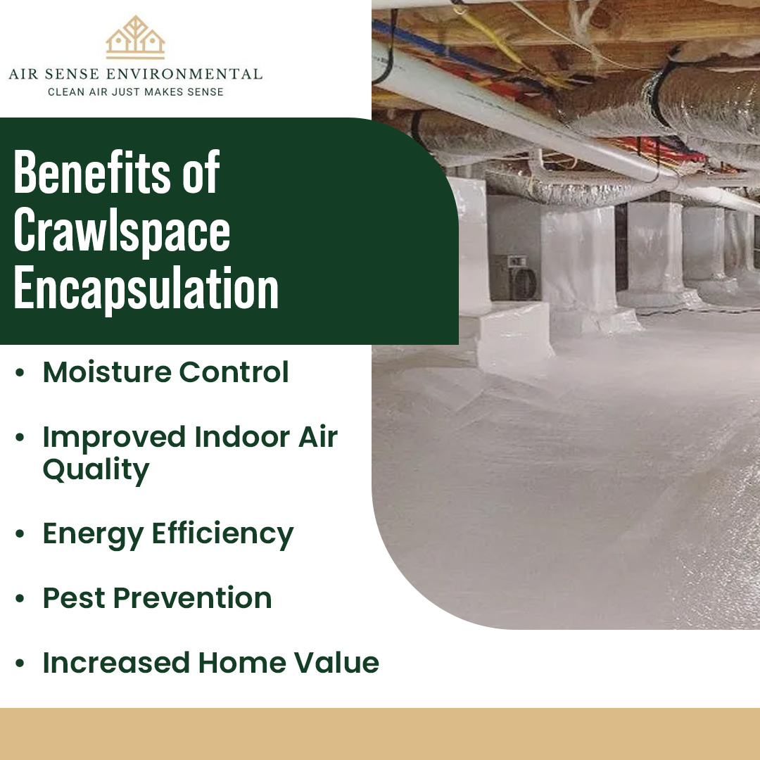 Is Crawl Space Encapsulation Worth the Investment? A Cost-Benefit ...